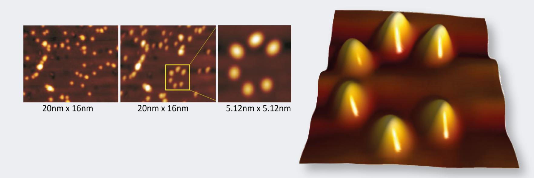 LT NANOPROBE Lab - Scienta Omicron
