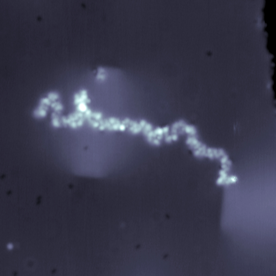 Home - Scienta Omicron